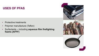 13.13 Nancy Tonkin.pdf