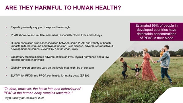 13.13 Nancy Tonkin.pdf