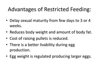 13.Phase feeding and feeding systems.pptx