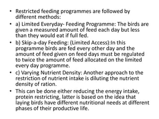 13.Phase feeding and feeding systems.pptx