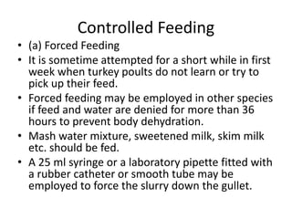 13.Phase feeding and feeding systems.pptx