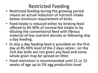 13.Phase feeding and feeding systems.pptx