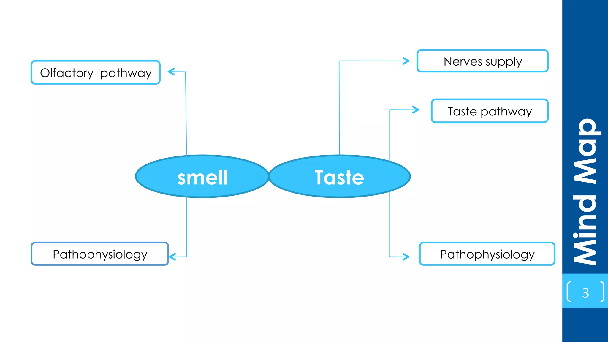 13. Physiology of Taste & Smell.pdf