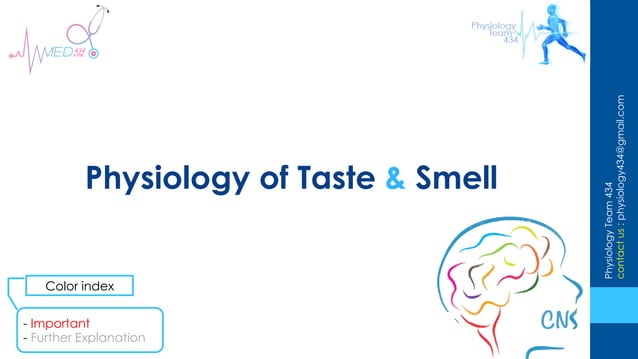 13. Physiology of Taste & Smell.pdf