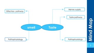 13. Physiology of Taste & Smell.pdf