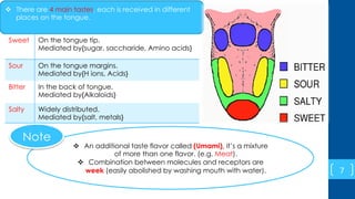 13. Physiology of Taste & Smell.pdf