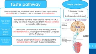 13. Physiology of Taste & Smell.pdf