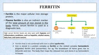 HEMOCHROMATOSIS | PDF