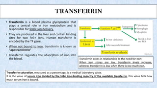 HEMOCHROMATOSIS | PDF