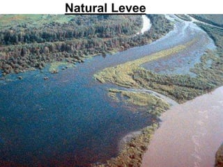 Natural Levee