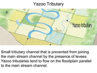 Yazoo Tributary
