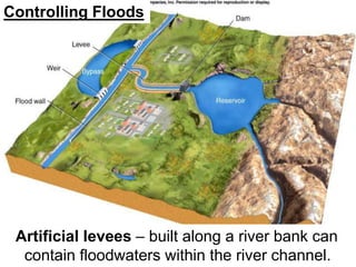 Artificial Levees Diagram