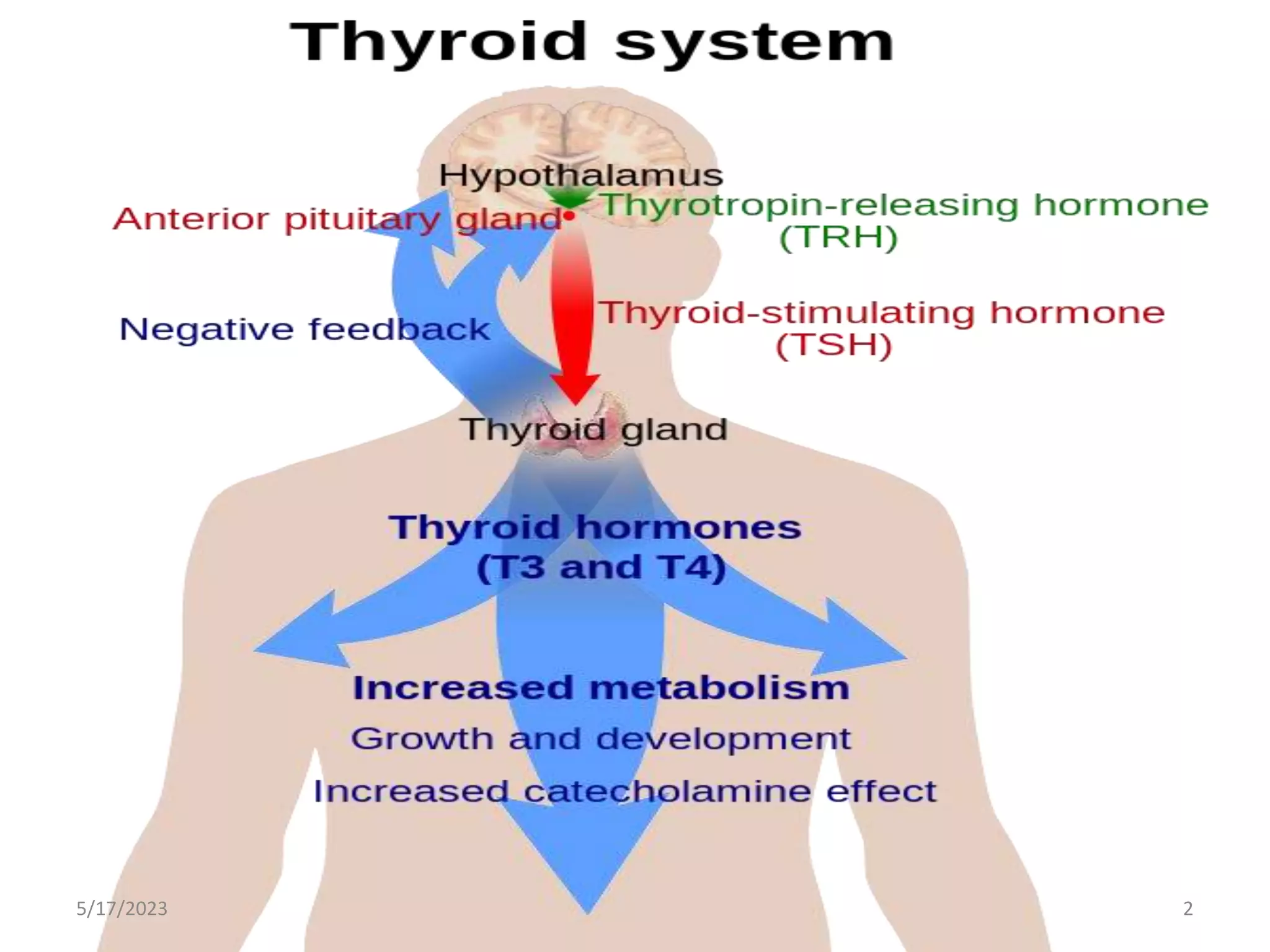 13. Thyroid disorders.pptx