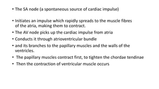 13.conducting system and fibroskeleton of heart.pptx