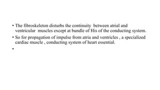 13.conducting system and fibroskeleton of heart.pptx