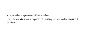 13.conducting system and fibroskeleton of heart.pptx