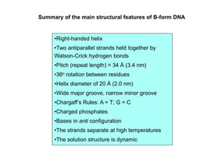 DNA&RNA.ppt