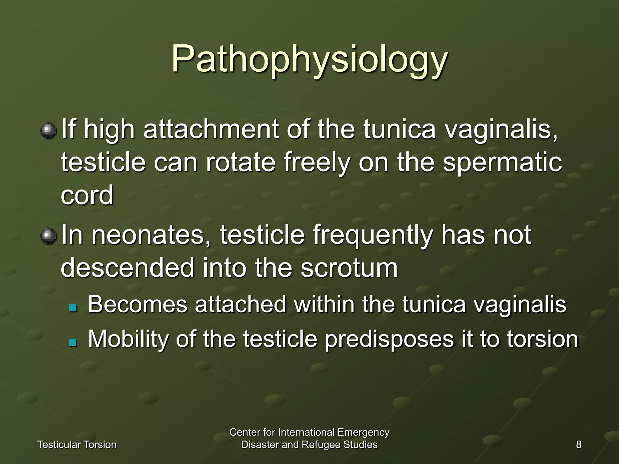 13 2 Testicular Torsion 1 Lecture Tz Ppt Free Download