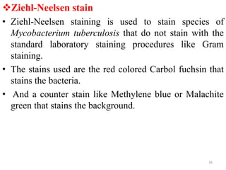 13.Staining technique.pptx | Chemistry | Science