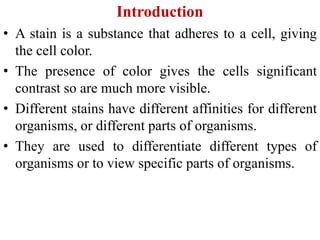 13.Staining technique.pptx | Chemistry | Science