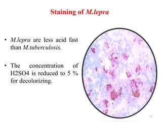 13.Staining technique.pptx | Chemistry | Science
