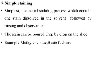 13.Staining technique.pptx | Chemistry | Science