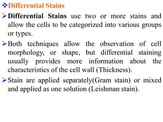 13.Staining technique.pptx | Chemistry | Science