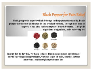 13. Black Pepper.pdf