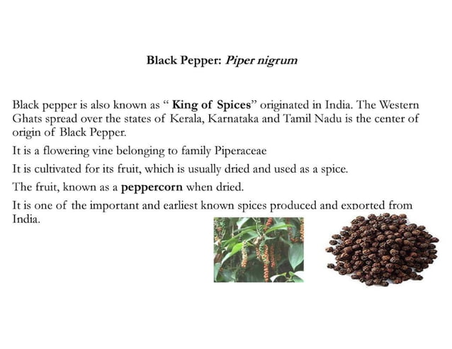13. Black Pepper.pdf