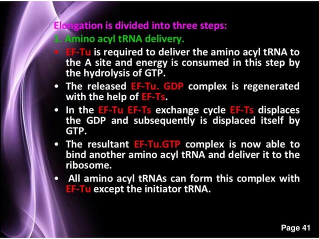 13. Protein synthesis and targeting (Biochemistry) | PPT