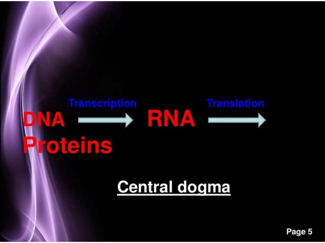 13. Protein synthesis and targeting (Biochemistry) | PPT