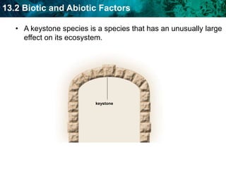 13.2 Biotic and Abiotic Factors.ppt