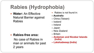 Rabies a zoonotic disease transmitted to human being by a rabid animal ...