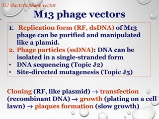 13 2322 ppt | PPT