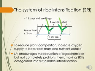 13. Example of sustainable agriculture in practice - Update (1).pdf