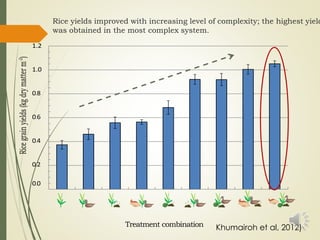 13. Example of sustainable agriculture in practice - Update (1).pdf