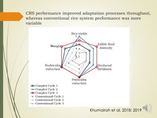 13. Example of sustainable agriculture in practice - Update (1).pdf