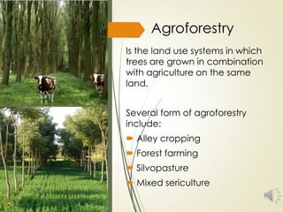 13. Example of sustainable agriculture in practice - Update (1).pdf