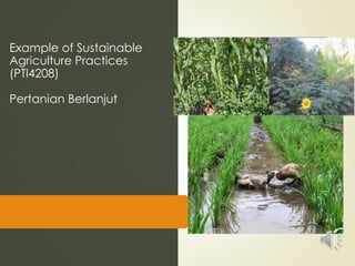 13. Example of sustainable agriculture in practice - Update (1).pdf