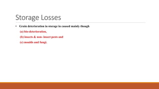 13.-STORAGE-PESTS.pdf pests in wheat and pulses | PDF