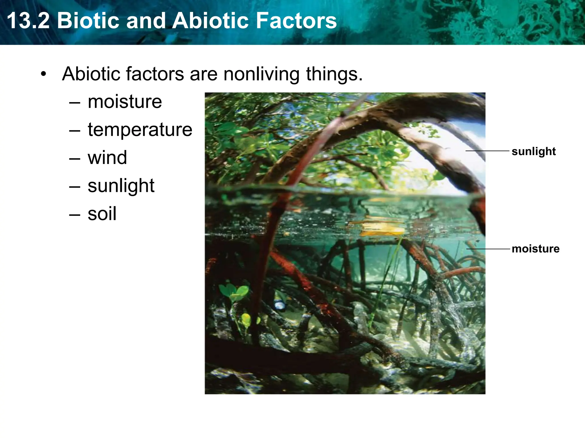 13.2 Biotic and Abiotic Factors.ppt