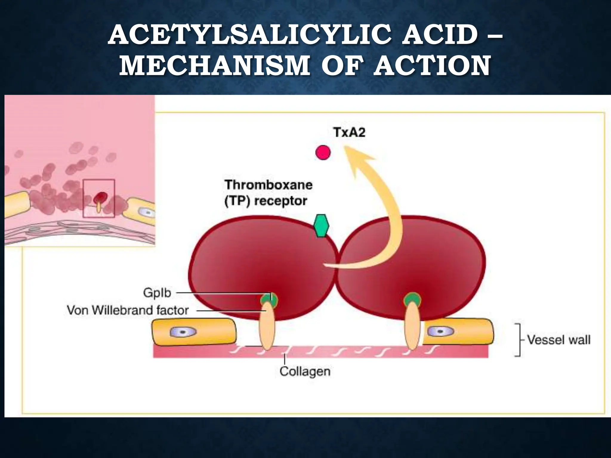 13. VASODIL_ISCHEMIC HEART DISEASE_095100 (1).pptx