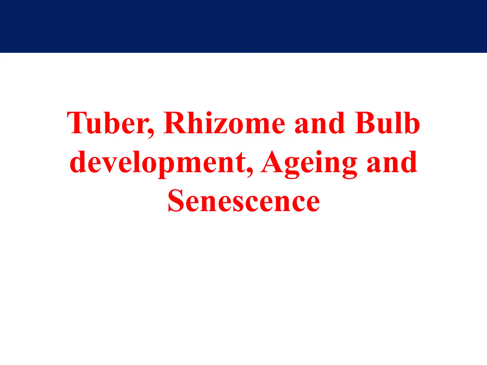 13. Tuber, rhizome and bulb development and Ageing and senescence.pptx