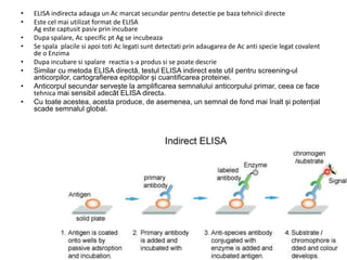 ELISA - Nursing lesson for first year student biochemistry | PPT