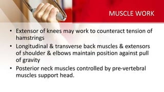 13. Derived Positions kinesiology slides | PPTX
