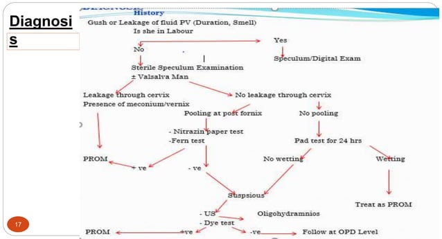 13. PROM premature rupture of membranes | PPT