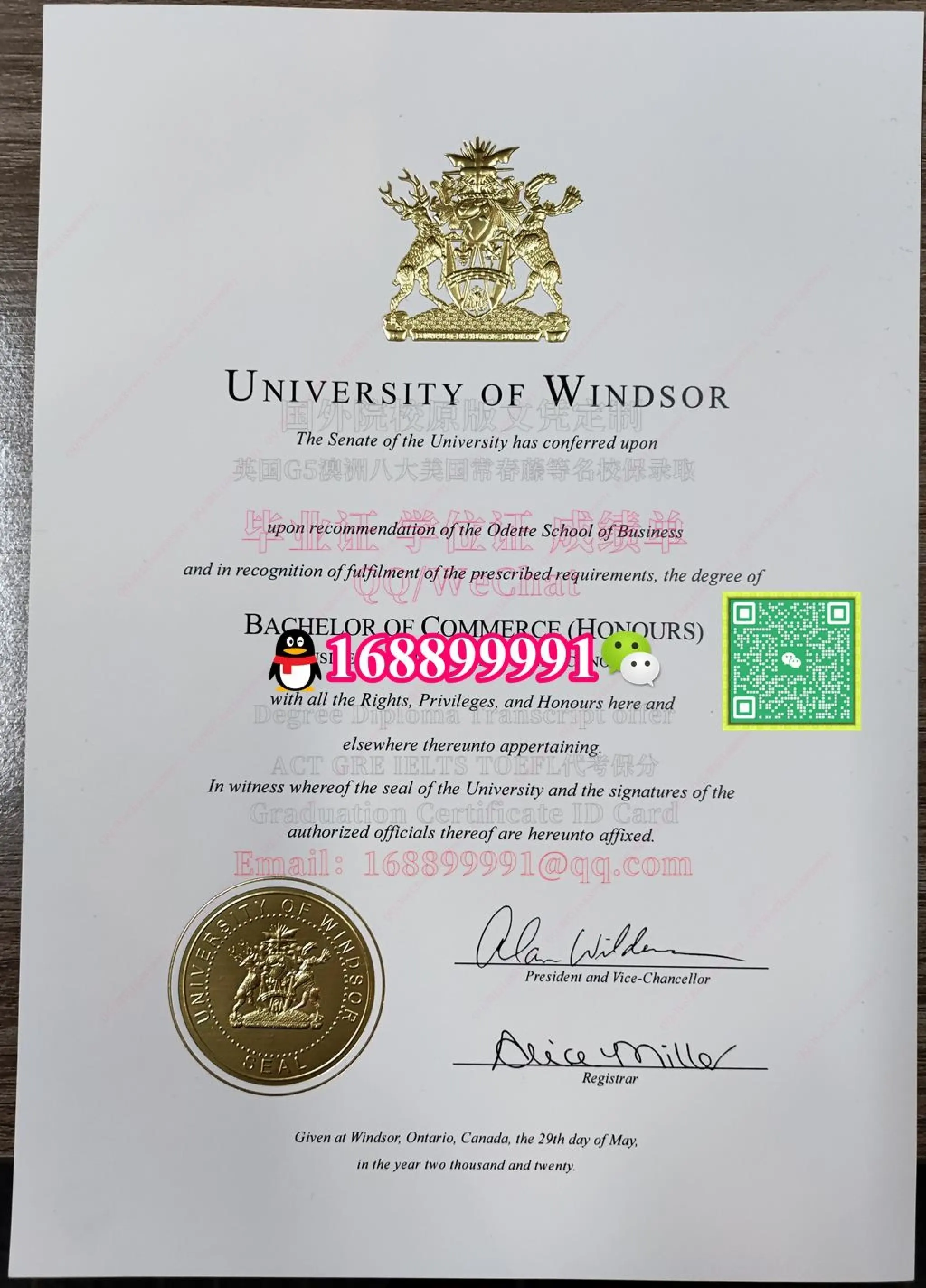 University of Windsor degree offer diploma Transcript | PDF