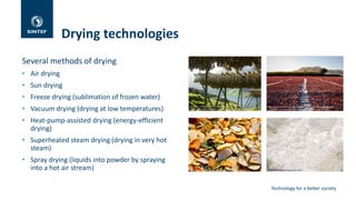 Rapid pulse drying of marine biomasses - Sigurd Sannan | PDF ...