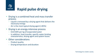 Rapid pulse drying of marine biomasses - Sigurd Sannan | PDF