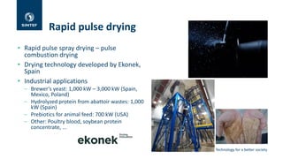 Rapid pulse drying of marine biomasses - Sigurd Sannan | PDF ...